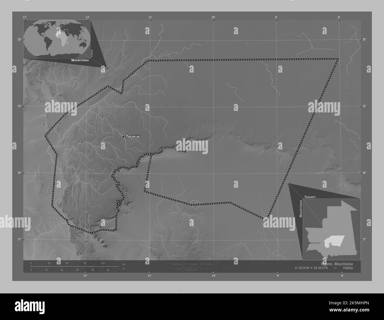 Tagant, region of Mauritania. Grayscale elevation map with lakes and ...