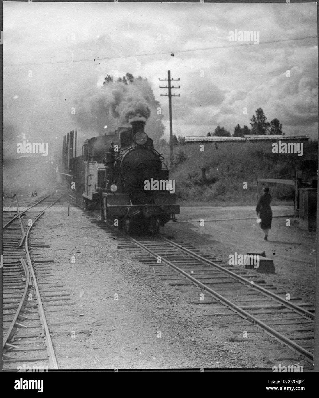 Freight train with steam locomotive at Sonstorp. The State Railways, SJ ...