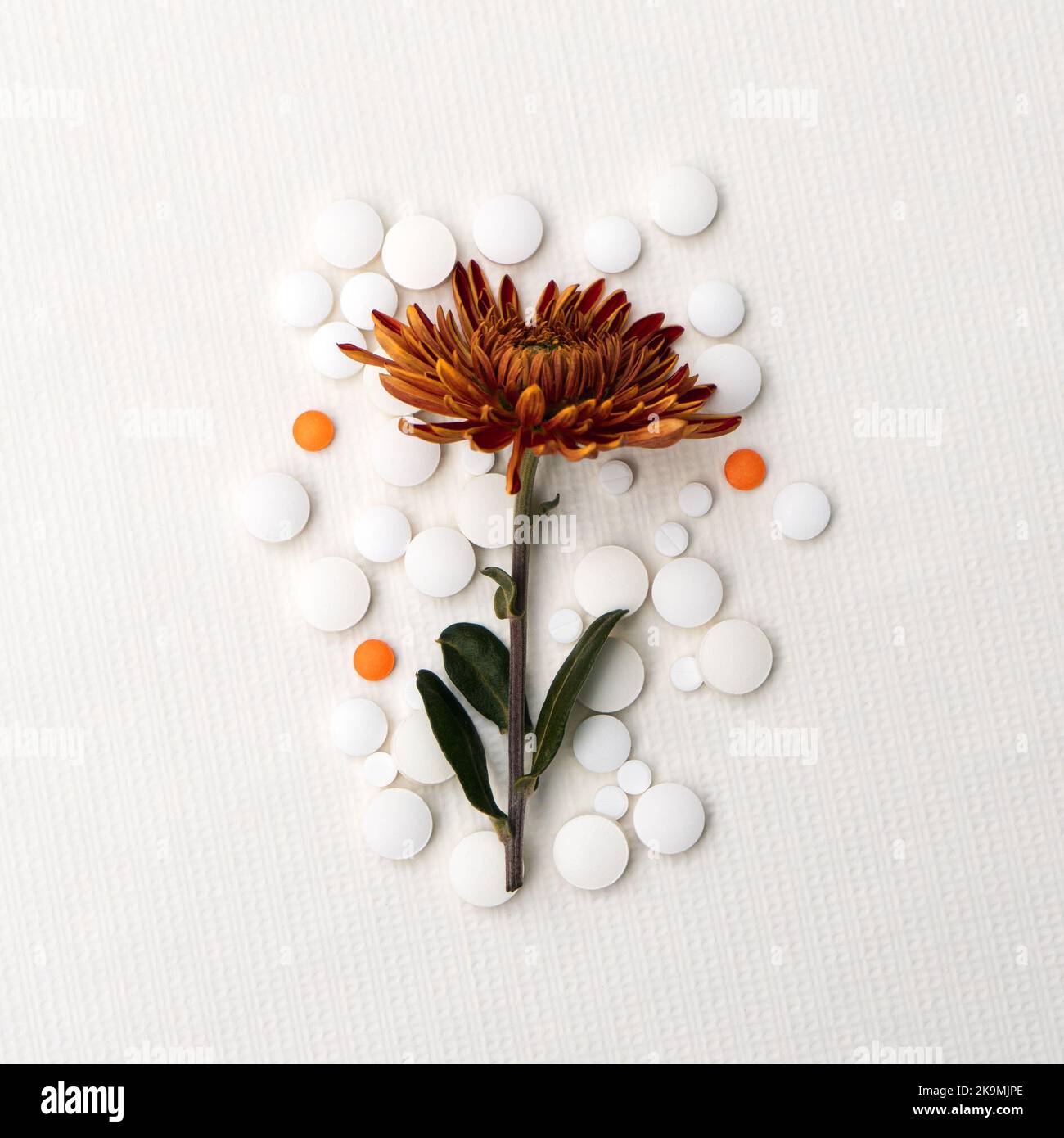 Homeopathic herbal tablets with plants on a white background Stock ...