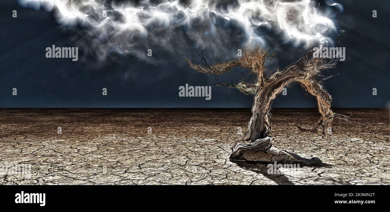 Illustration landscape dying tree hi-res stock photography and images ...