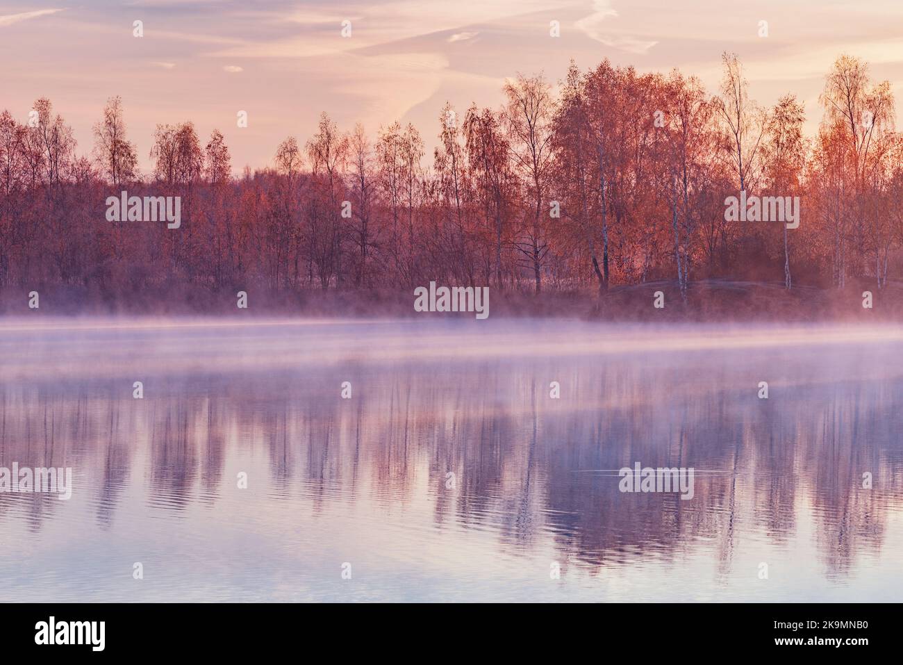 Fog above the lake at cold autumn morning Stock Photo - Alamy