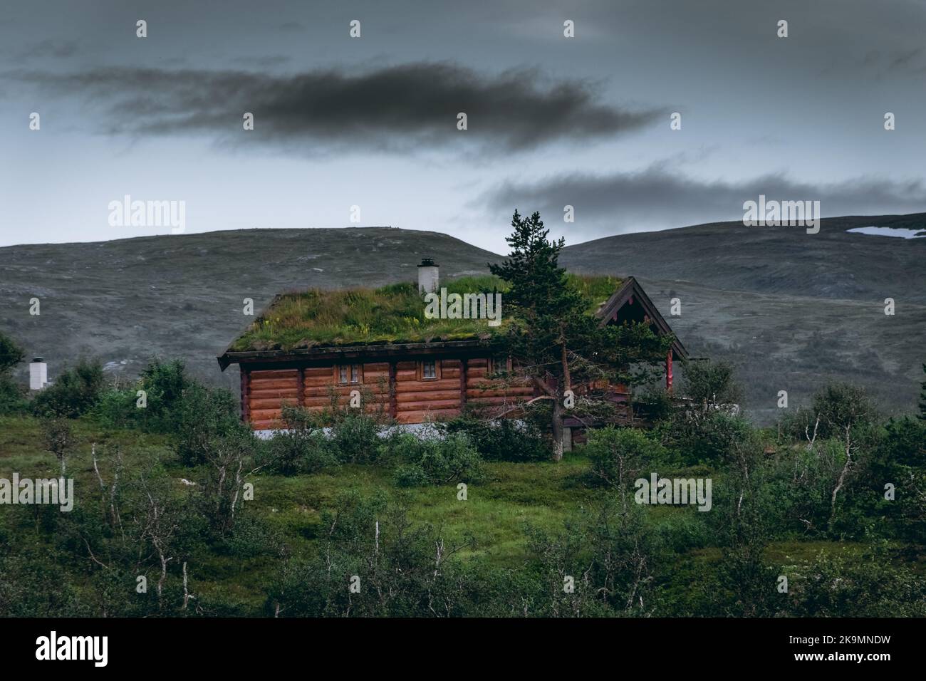 Beautiful wooden peat house with grass roof in the mountains of Norway ...
