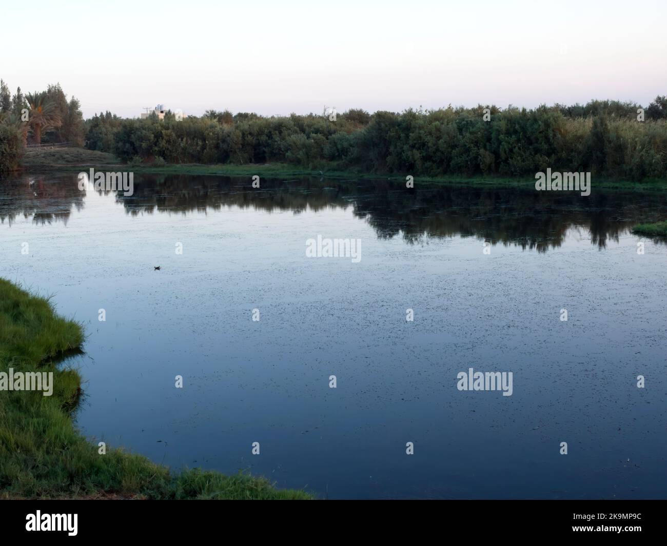 Azraq wetland reserve, Lake from bird hide, Jordan, October 2022 Stock ...