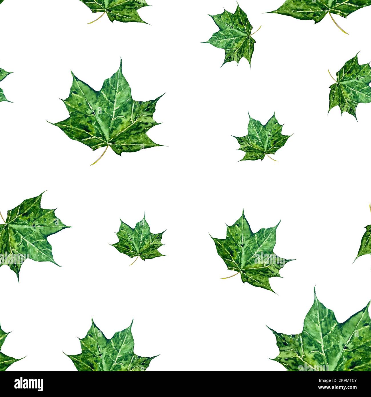 Watercolor maple leaf hi-res stock photography and images - Alamy