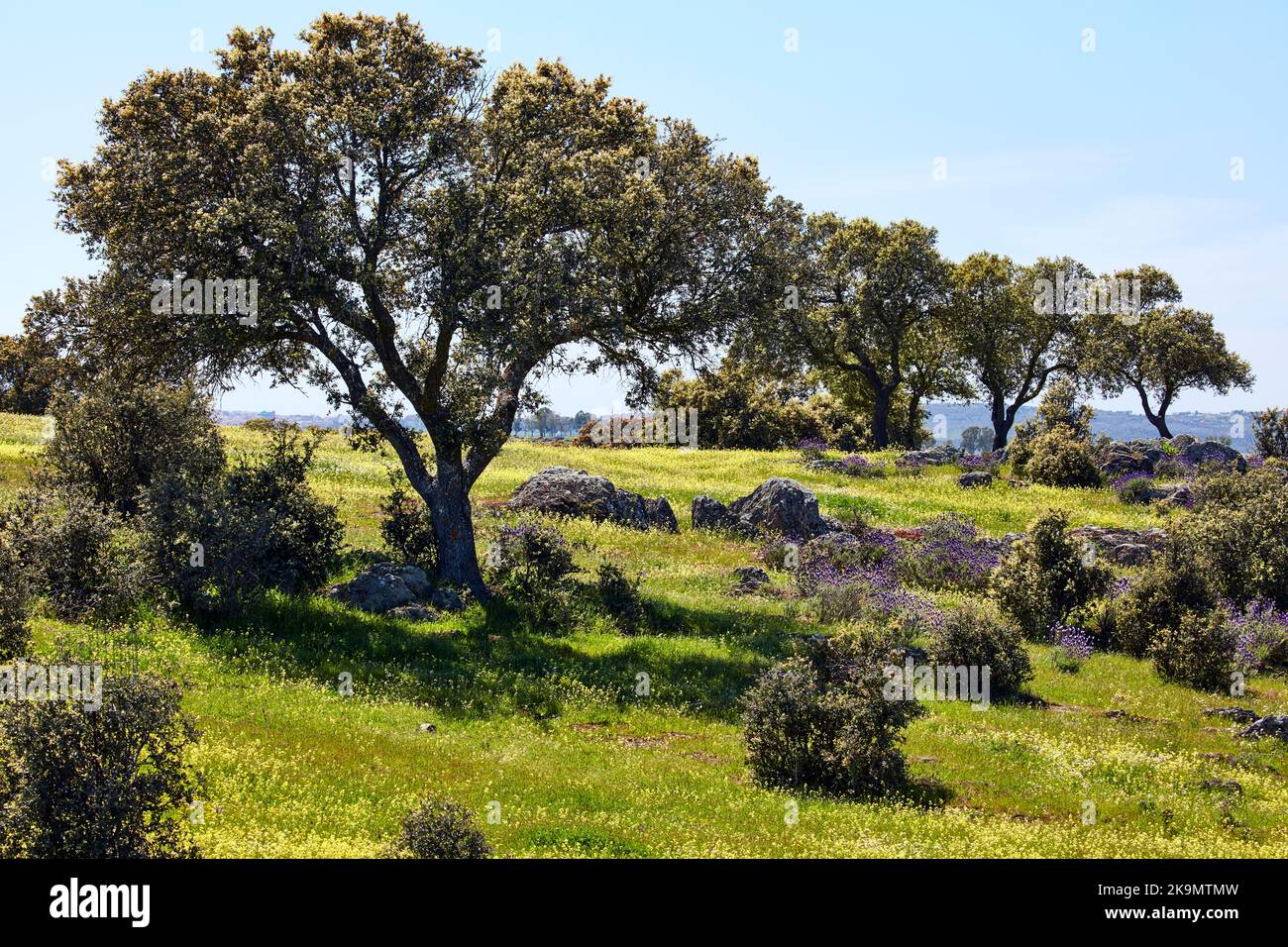 The spring scenery hi-res stock photography and images - Alamy