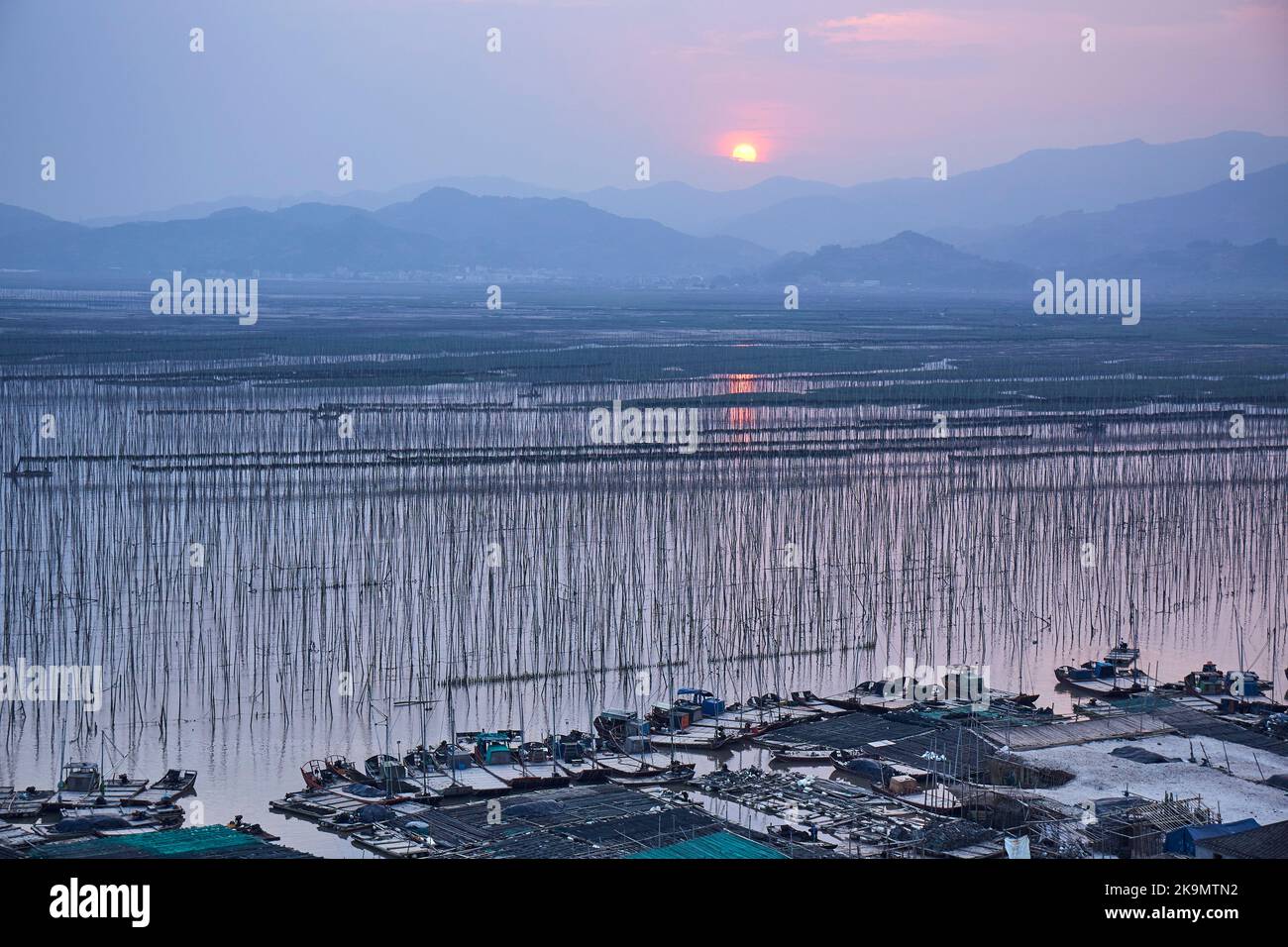 Xiapu wooden structure in use for algae production at sunrise Stock ...