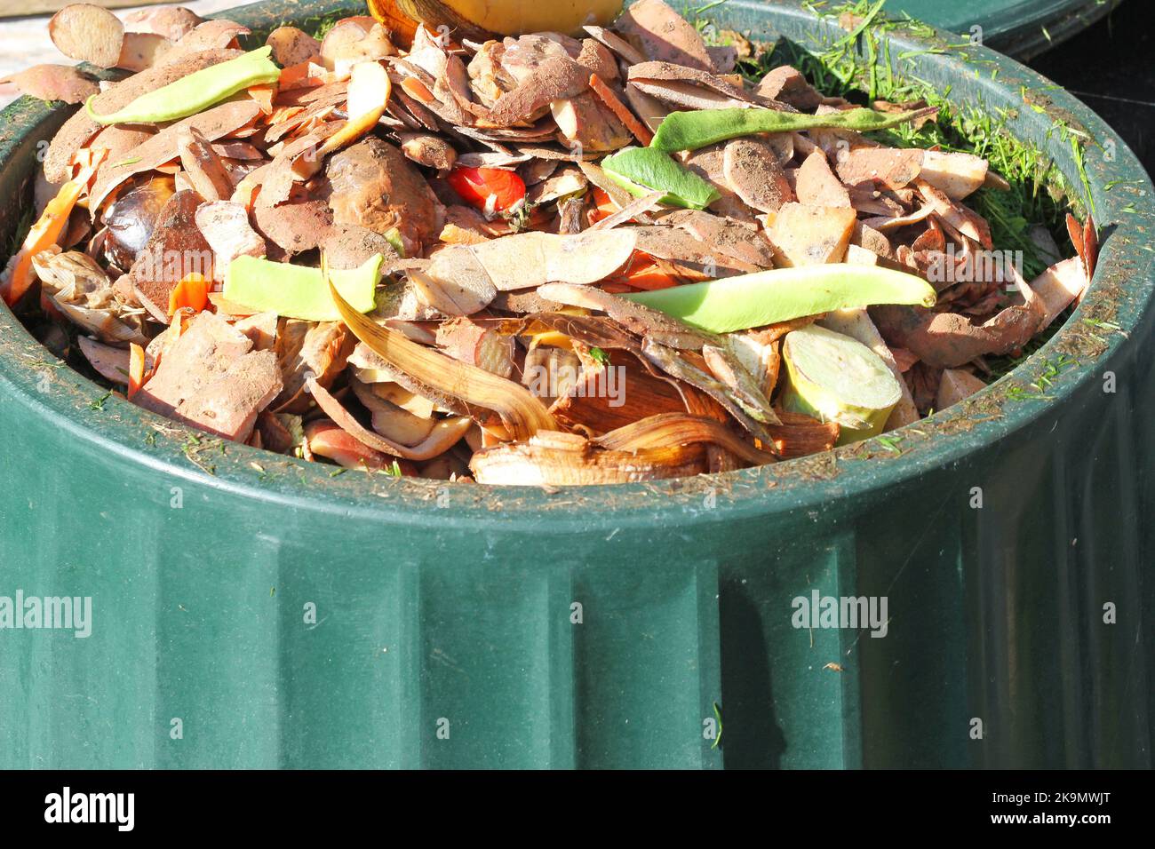 Contents of a compost bin. waste vegetables and fruit in a compost bin ...