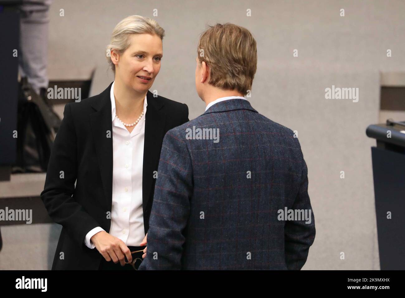 Berlin, Germany, October 20, 2022. Dr. Alice Weidel, Chairwoman of the ...