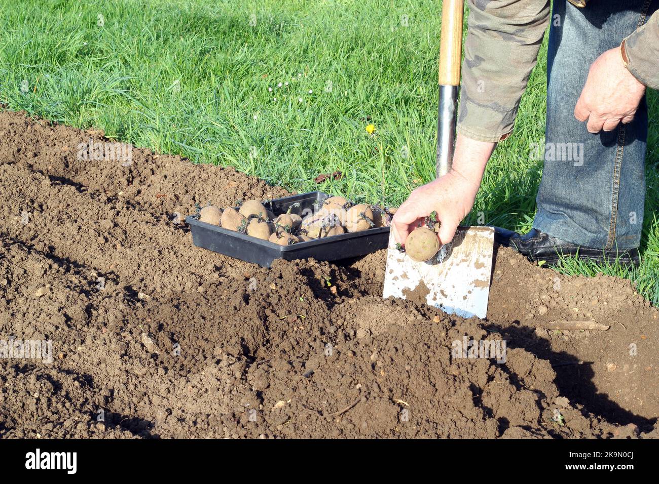 Hands planting seed hi-res stock photography and images - Alamy