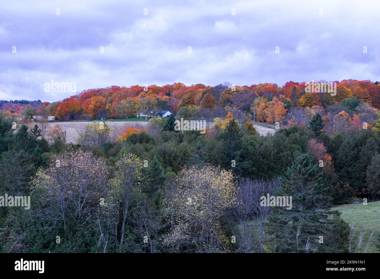 A colorful hill side outside Peacham, Vermont with a farm and field ...