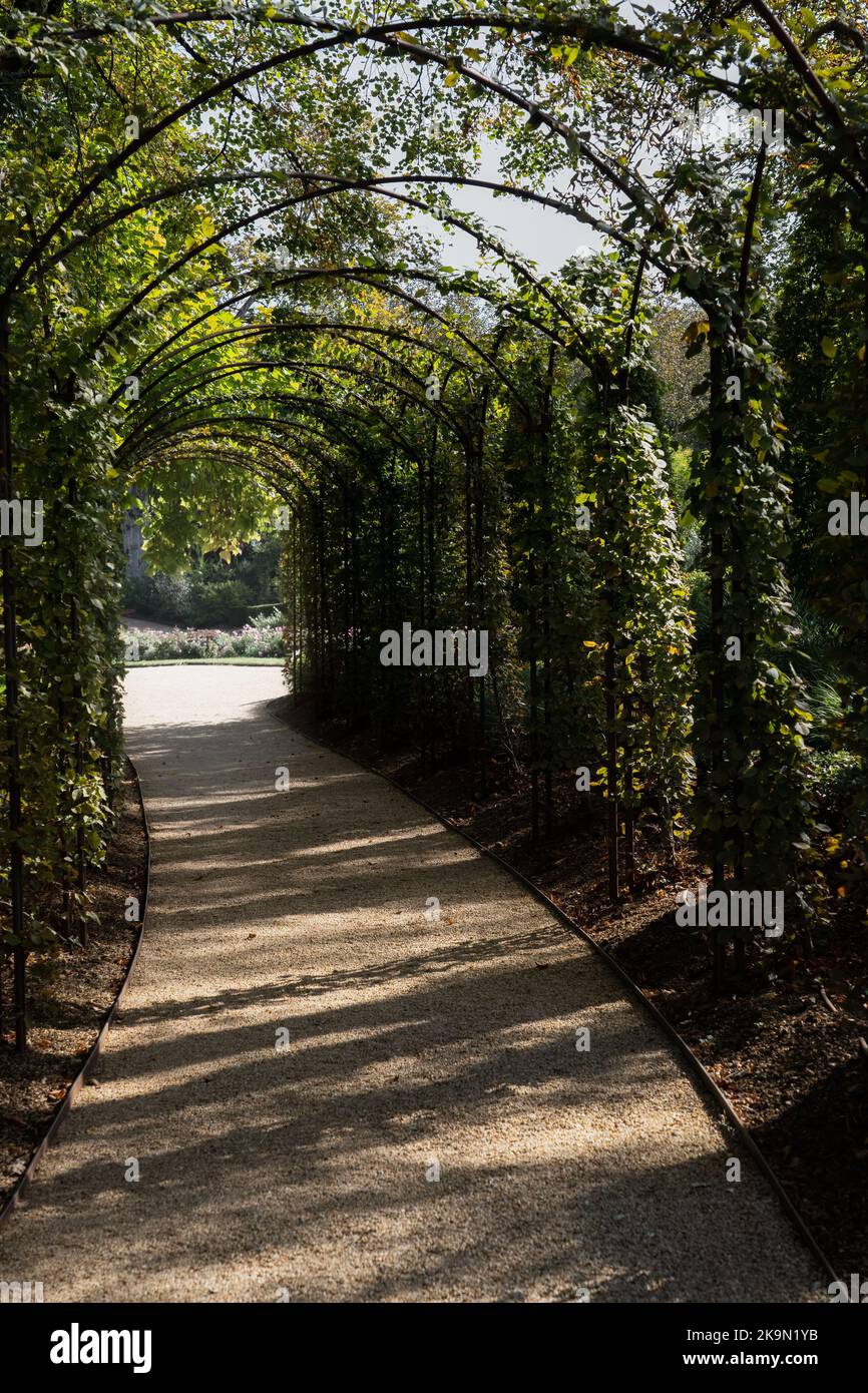 pathway leading through a covered wooden arch tunnel and foliage Stock ...