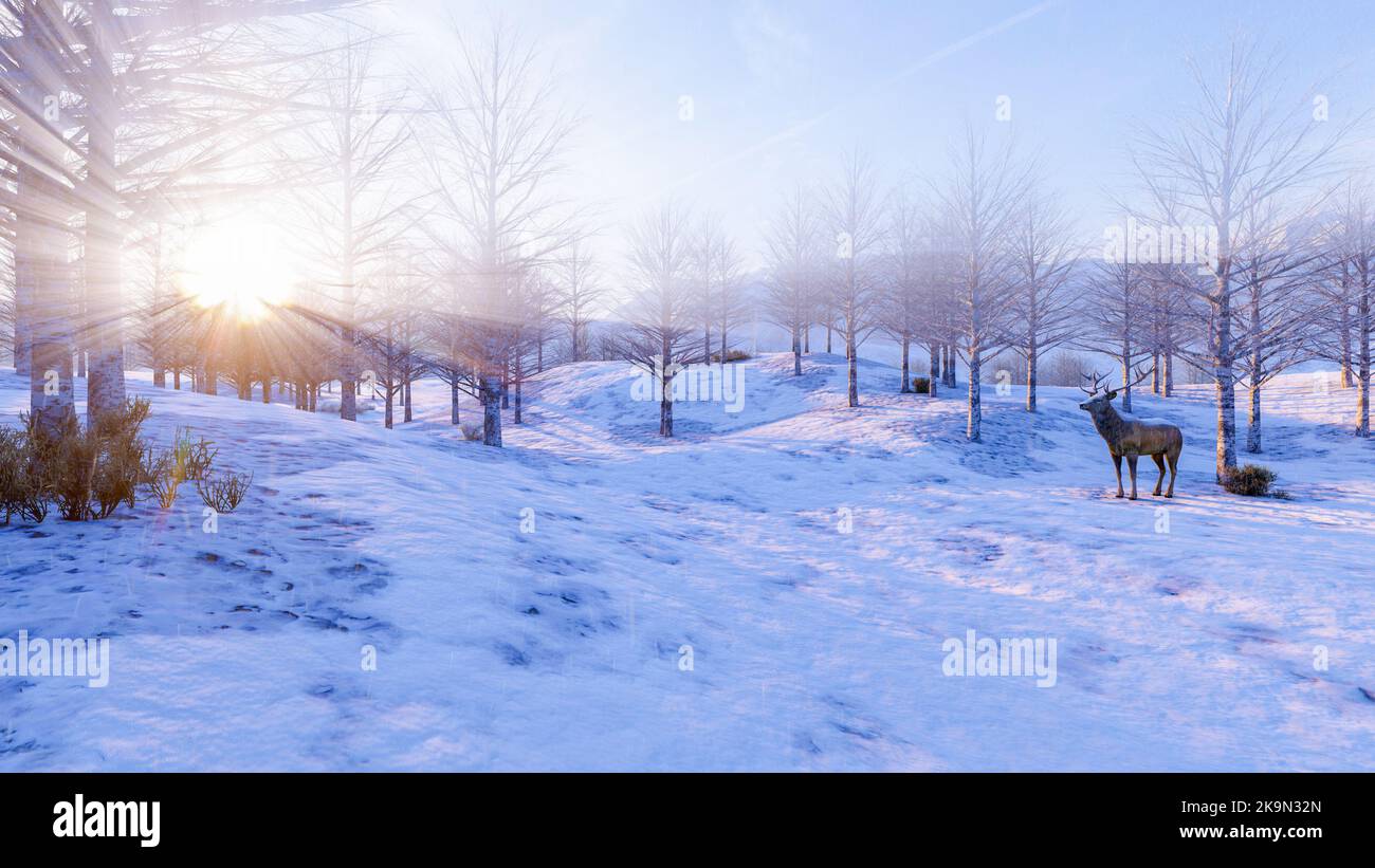 Arctic landscape scene, morning sunrise in snow forest with stag in ...
