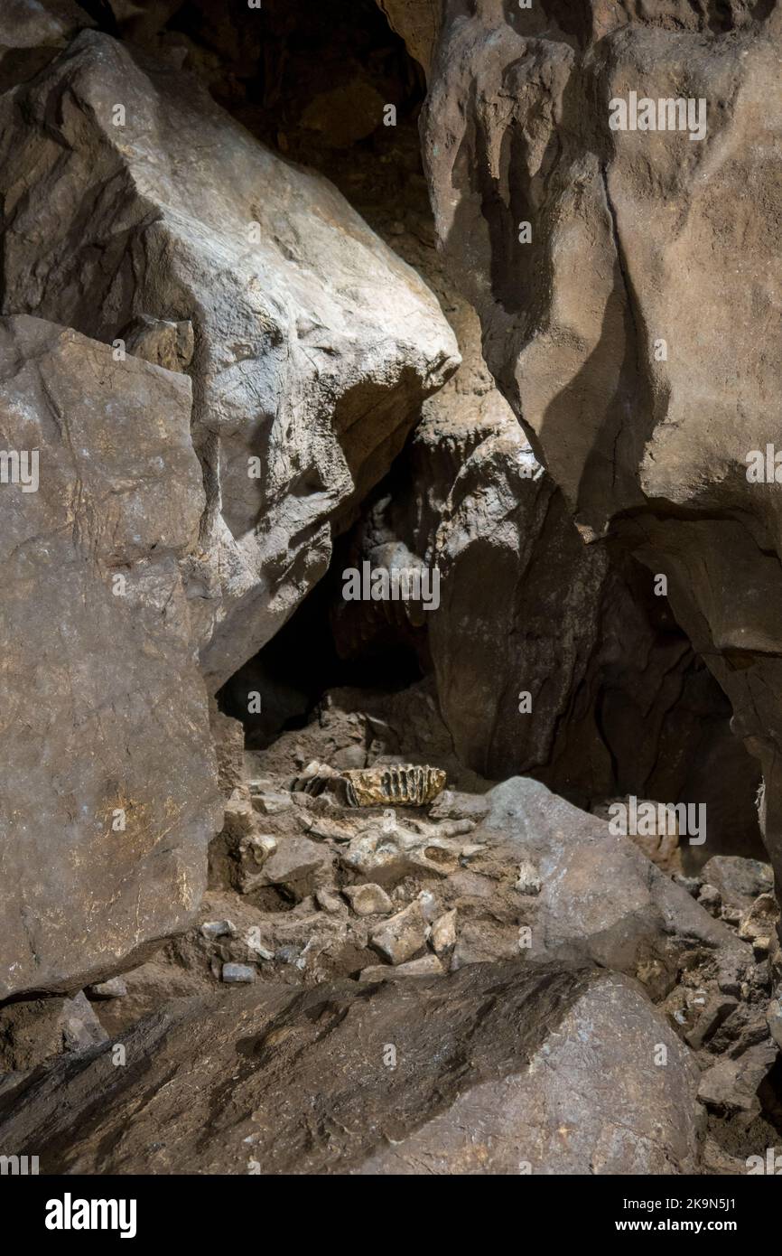UK, England, Devonshire. The William Pengelly Cave Studies Centre in ...