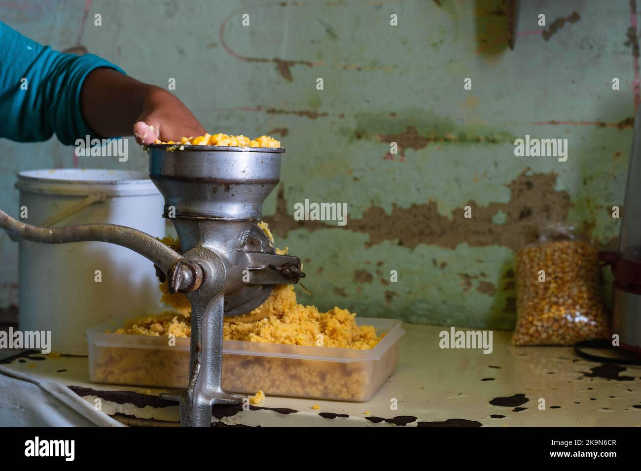 young brown-skinned latina woman, reaching into the cooked corn inside ...