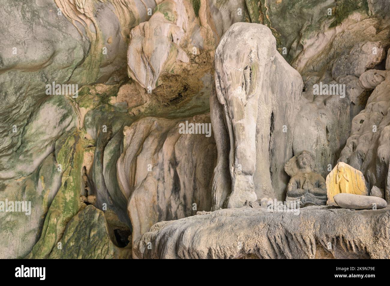 Detail of rock formation which gives the name to Elephant Cave ( Tham ...