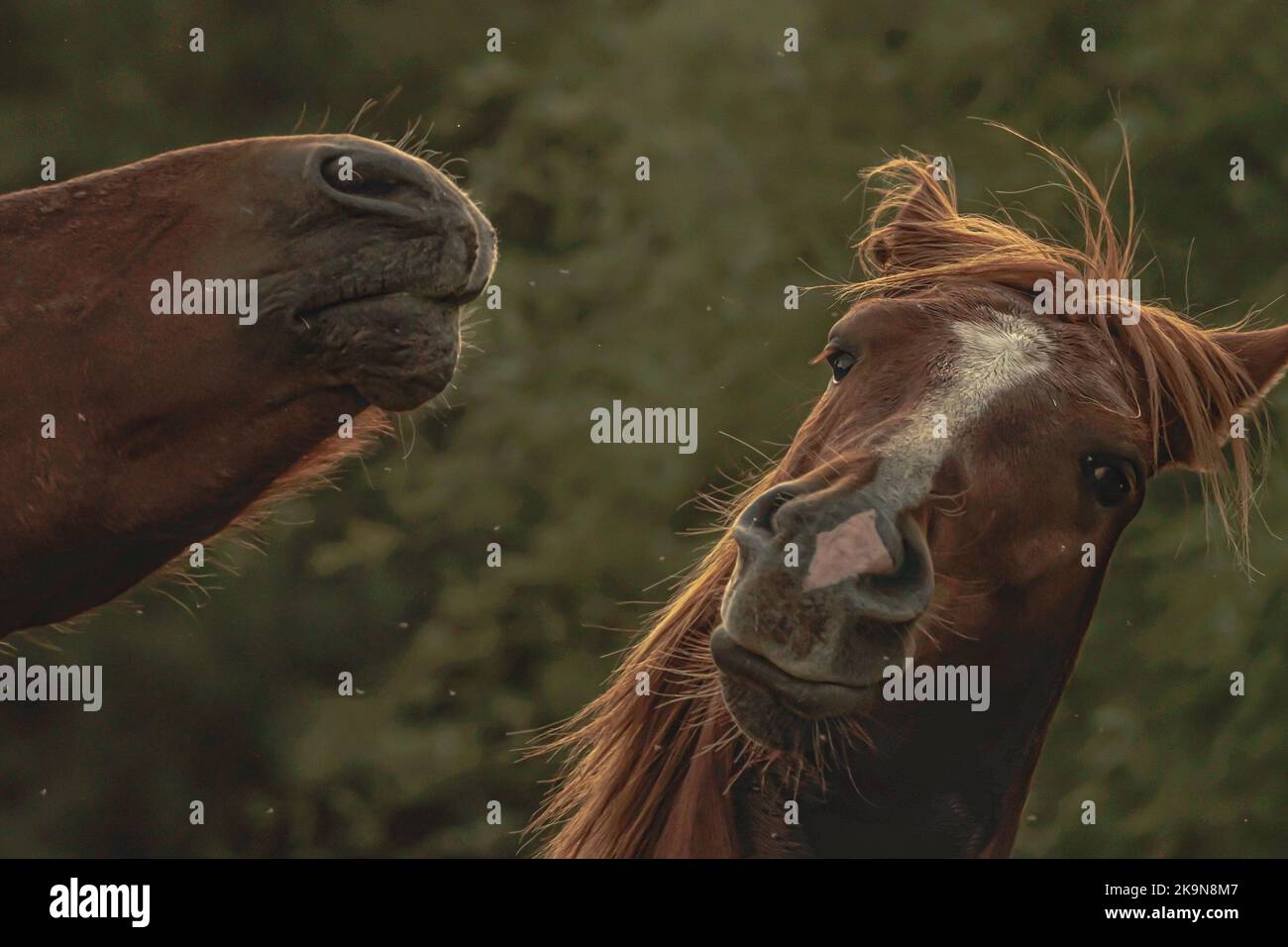 Aggghhh!! Get Away From Stock Photo - Alamy