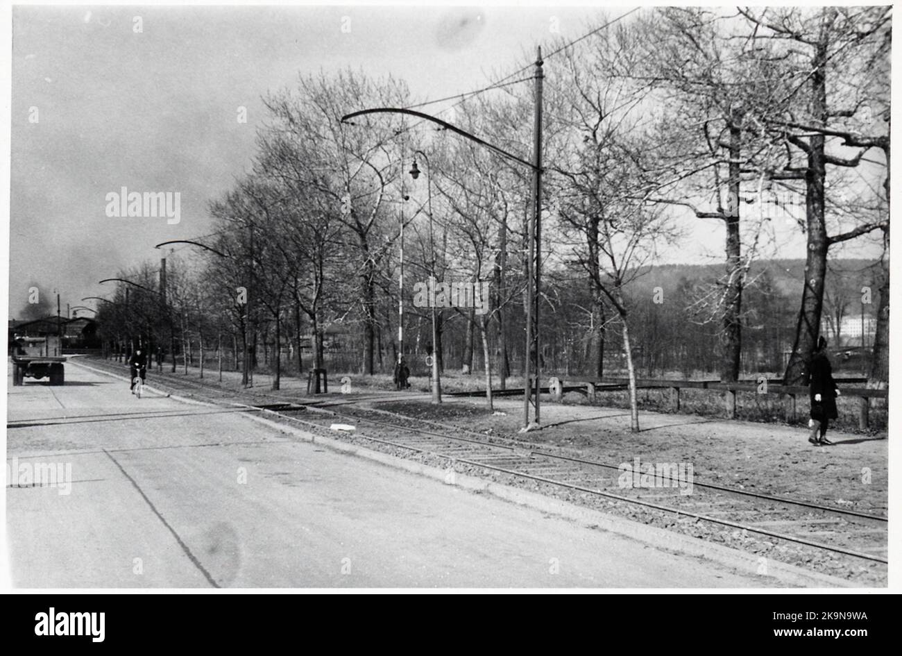 The harbor track crosses both the road and the tramway Stock Photo - Alamy