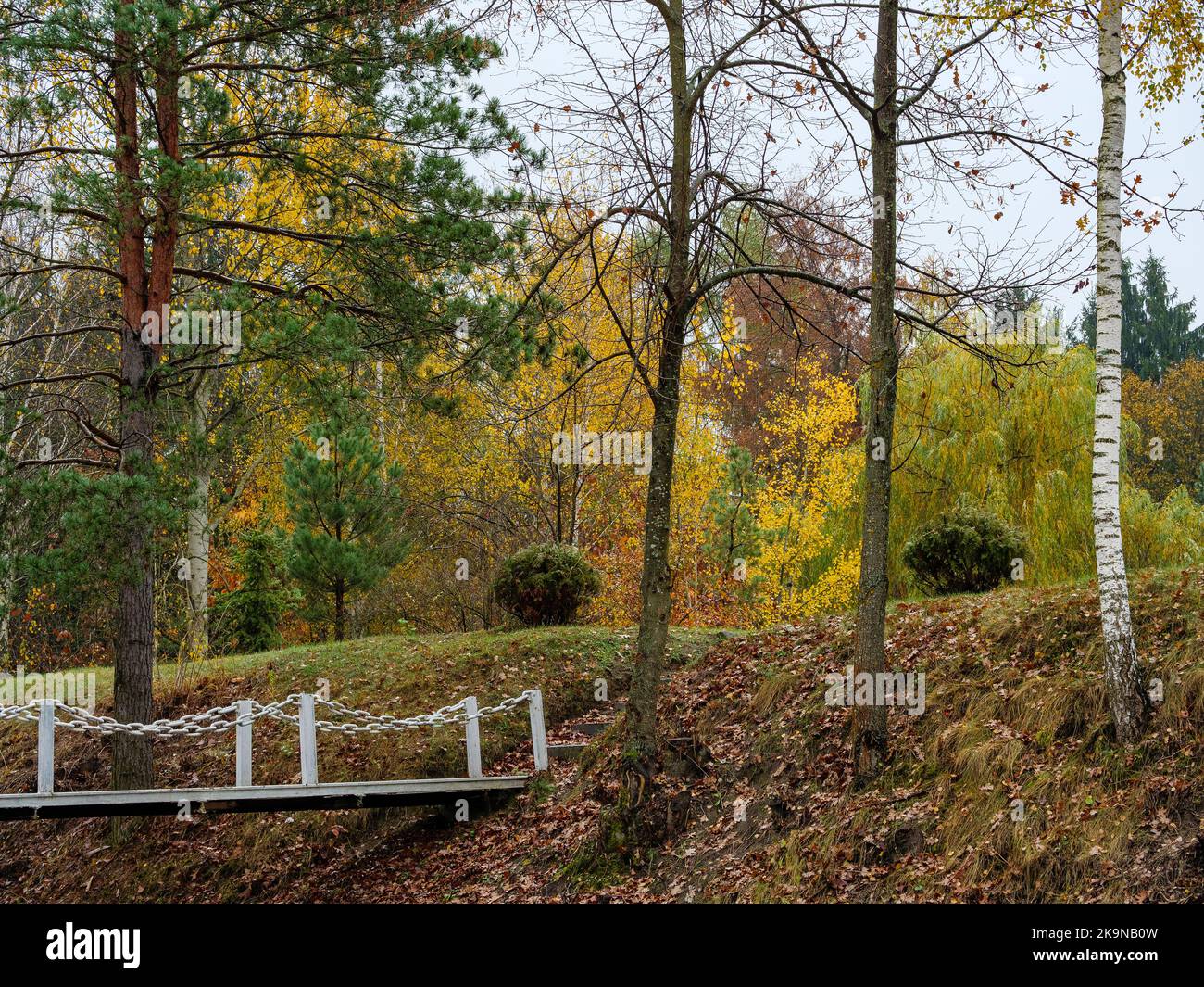 Iron bridge with handrails over a dried up lake in the forest Stock ...