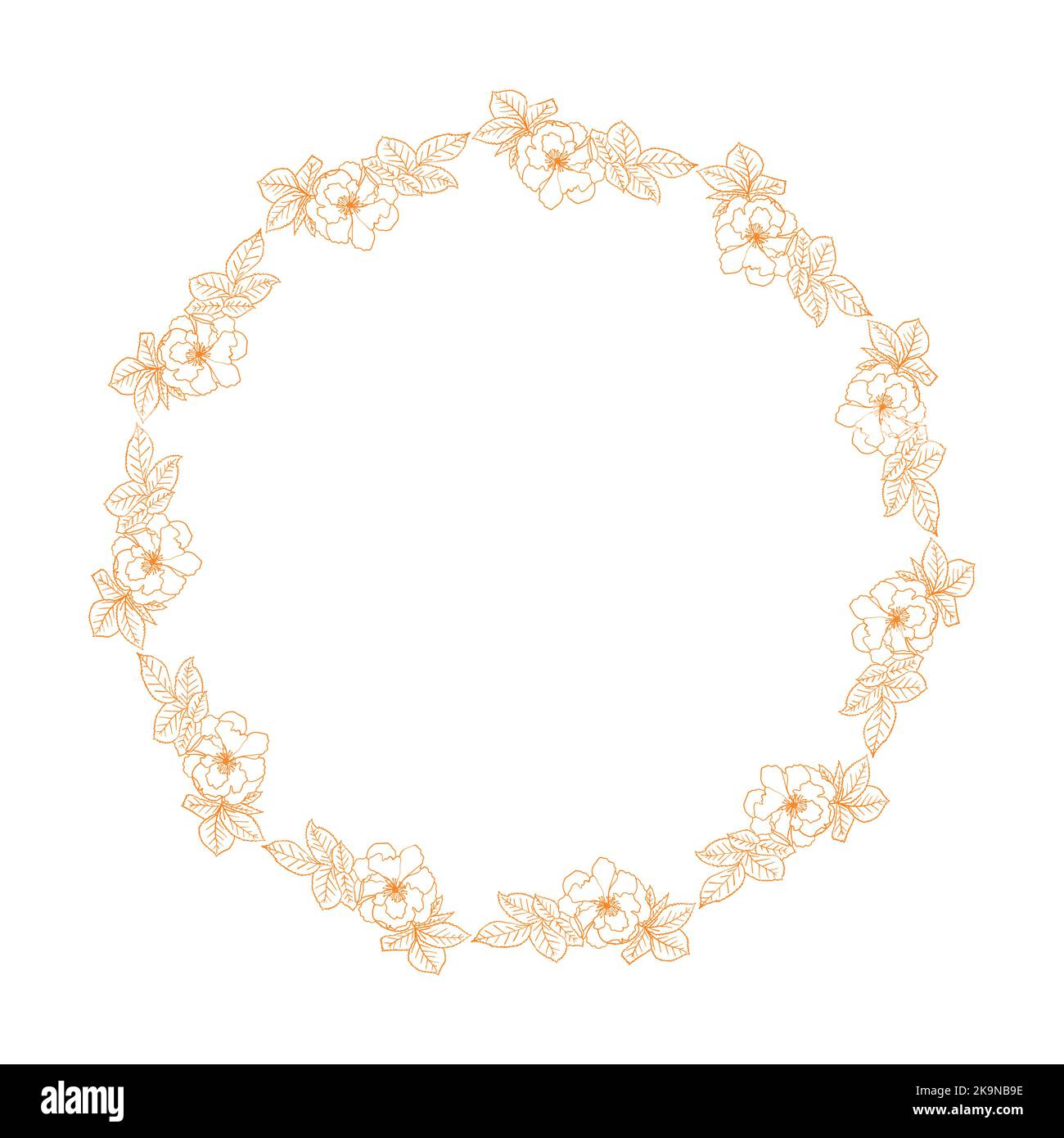 Peony vintage illustration painting Cut Out Stock Images & Pictures - Alamy