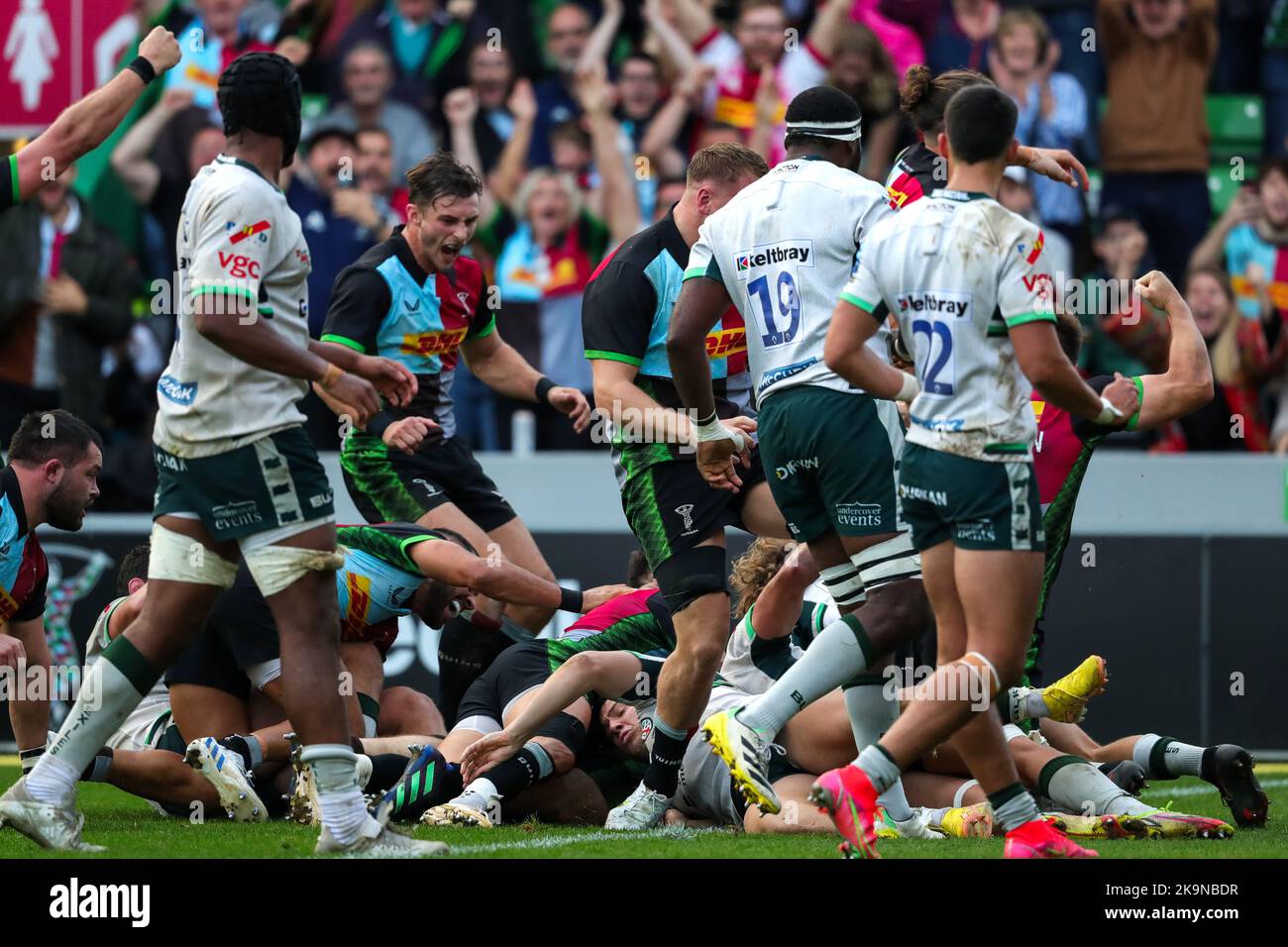 The stoop harlequin hi-res stock photography and images - Alamy