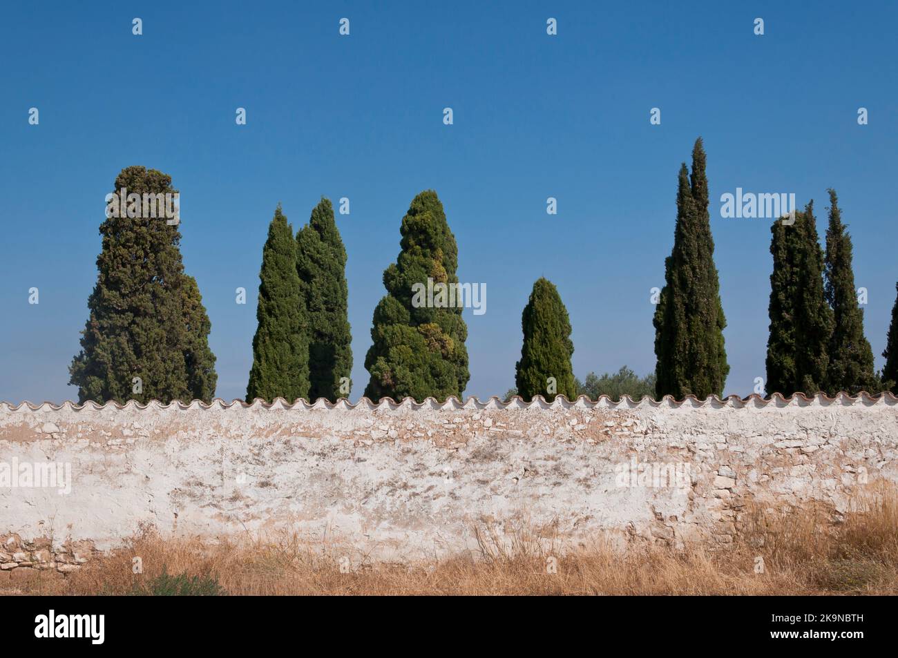 The wall of the rural cemetery with cypress in Calaceite, Teruel, Spain ...