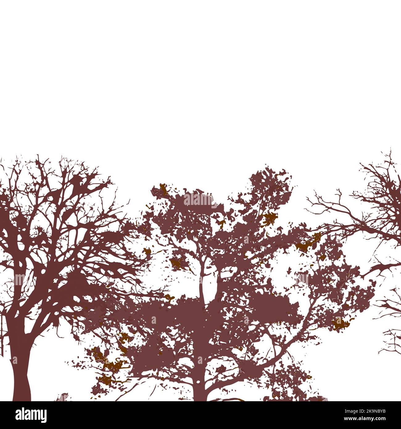 Colorful sseamless background with cniferous and deciduous tree ...