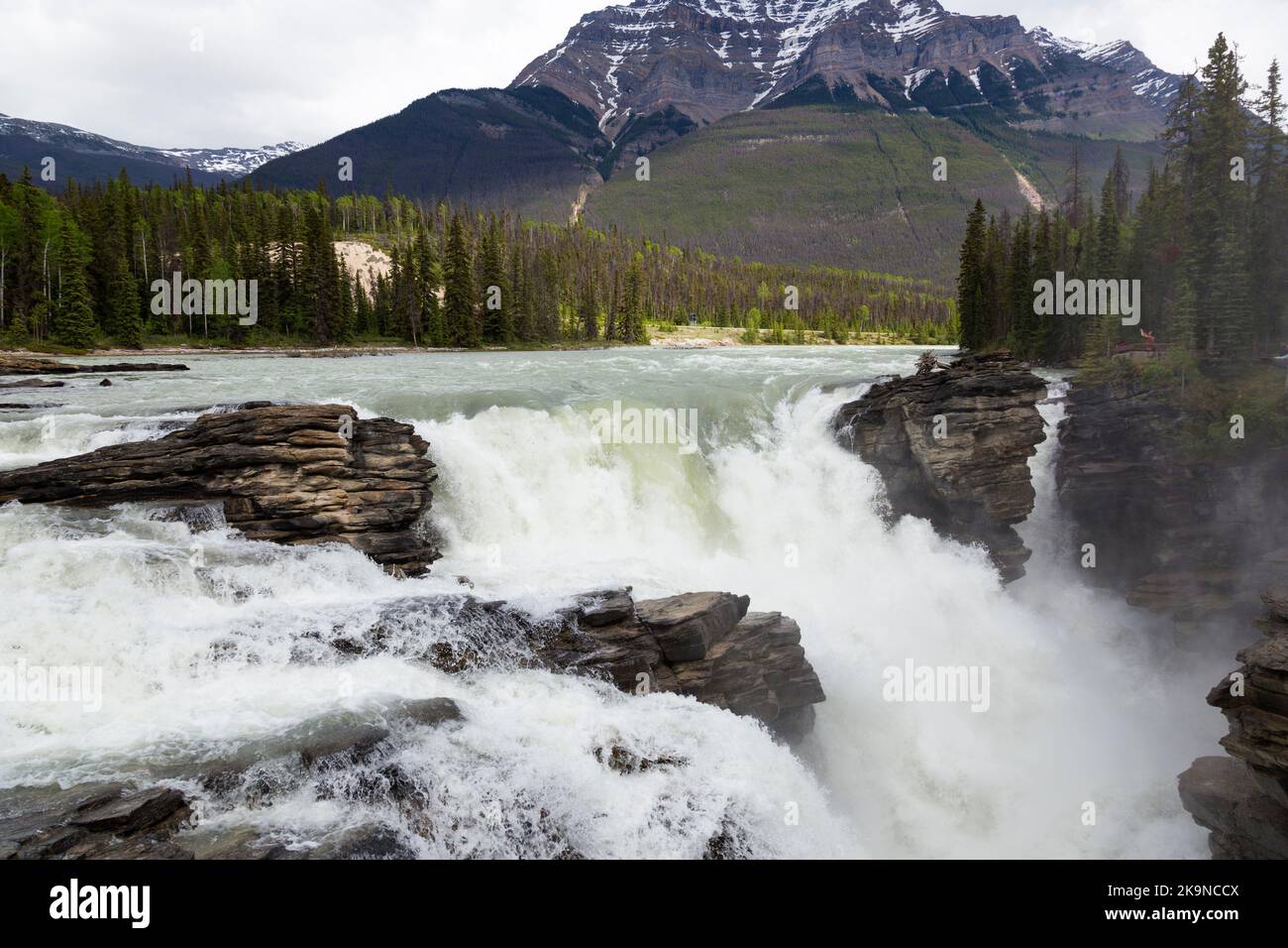 Athabasca falls, Jasper park, Canada Stock Photo - Alamy