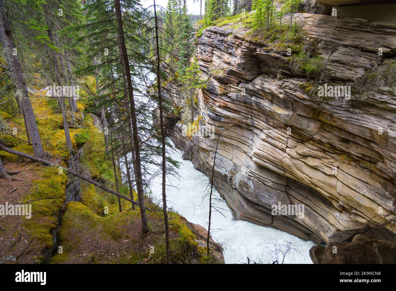 Jasper nature reserve hi-res stock photography and images - Alamy