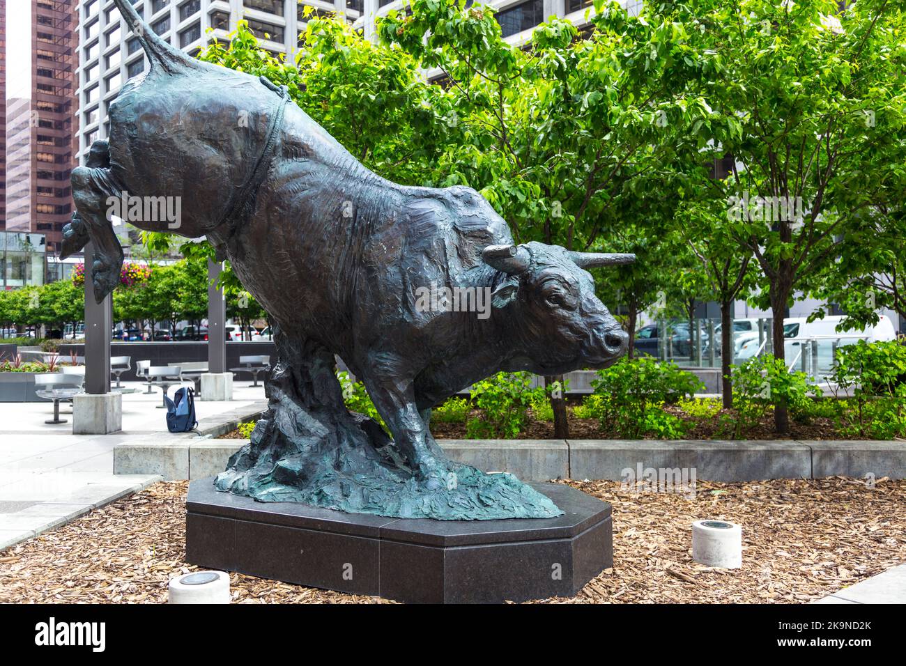 Bull market. Calgary, Canada Stock Photo - Alamy