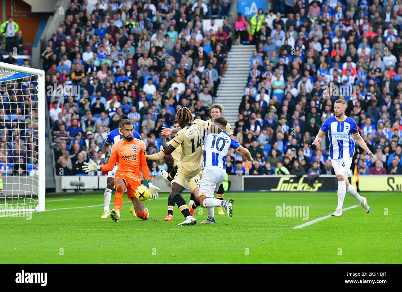 Brighton, UK. 29th Oct, 2022. Robert Sanchez Goalkeeper of Brighton and ...