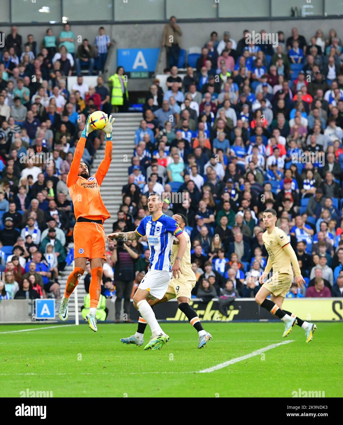 Brighton, UK. 29th Oct, 2022. Robert Sanchez Goalkeeper of Brighton and ...