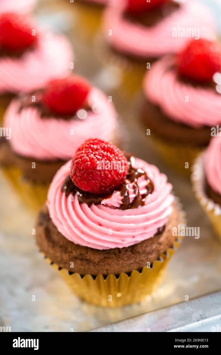 Chocolate raspberry cupcakes Stock Photo - Alamy