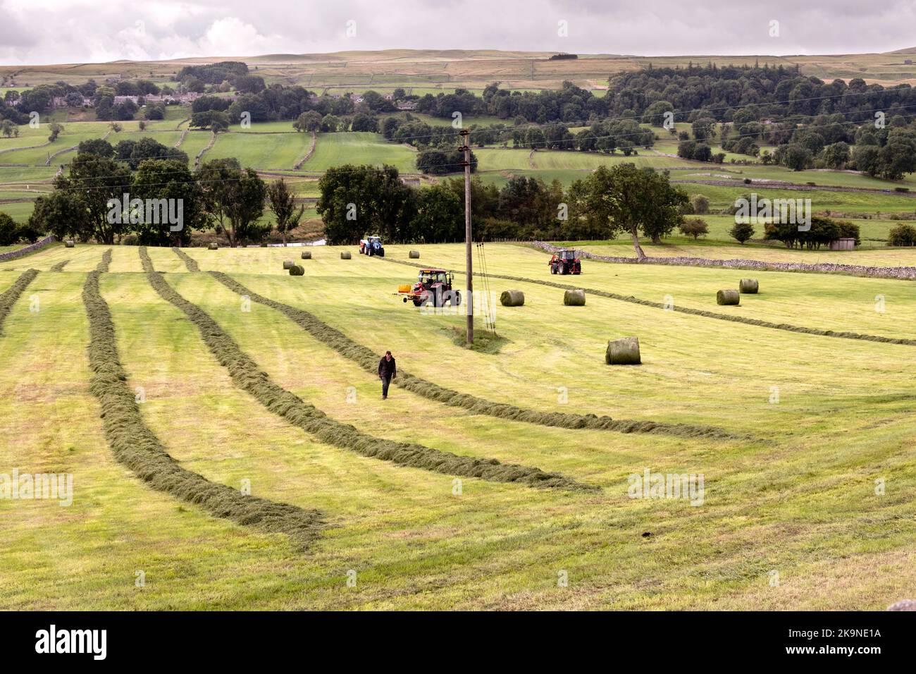 Haymaking time, Woodhall, Yorkshire Dales National Park. The grass is ...
