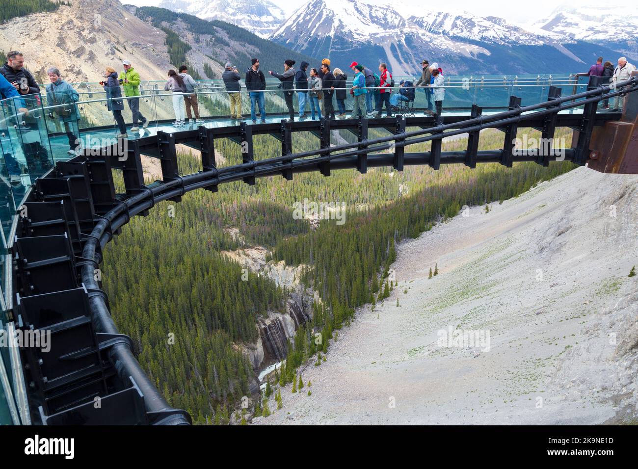 Columbia Ice field sky walk, Canada Stock Photo - Alamy