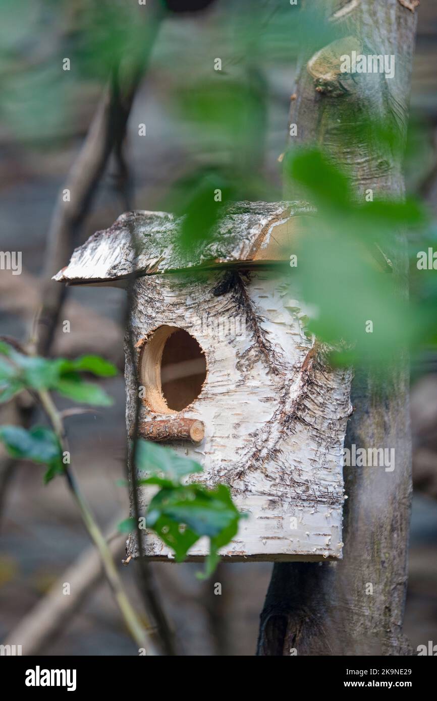 Old wooden birdhouse in hi-res stock photography and images - Alamy