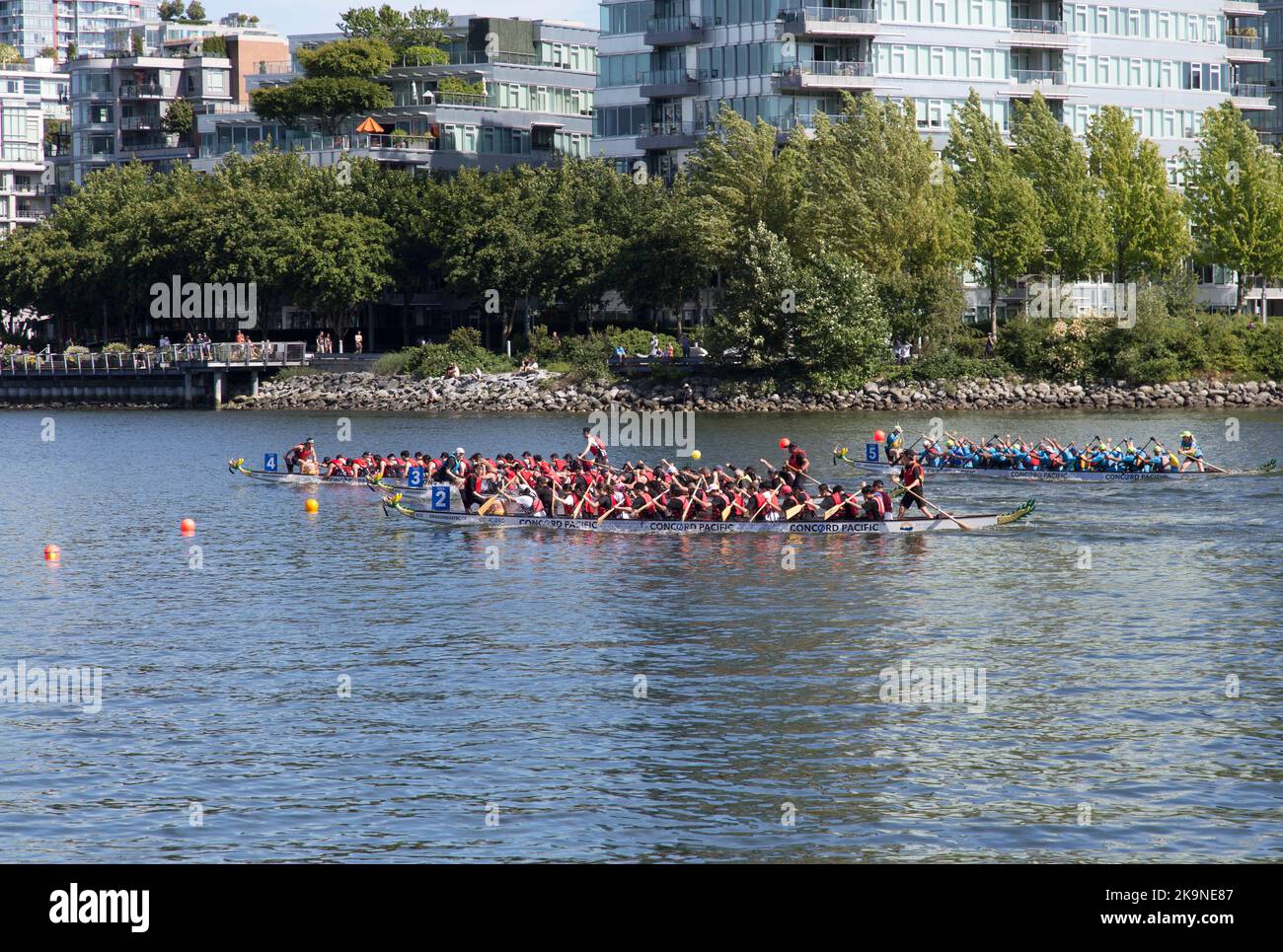 Dragon Boat Racing, Vancouver, Canada Stock Photo - Alamy