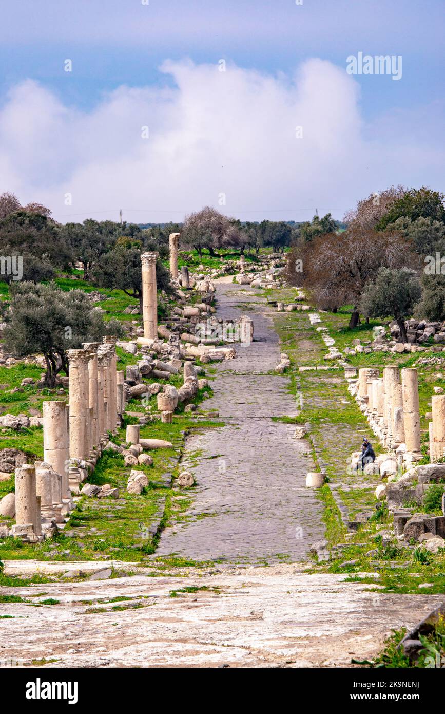 View from above Roman Decumanus Maximus Umm Qais (Gadara) Jordan 1 ...
