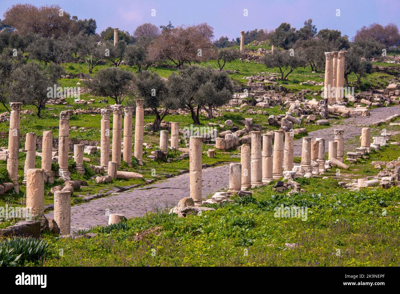 Decumanus maximus umm qais hi-res stock photography and images - Alamy