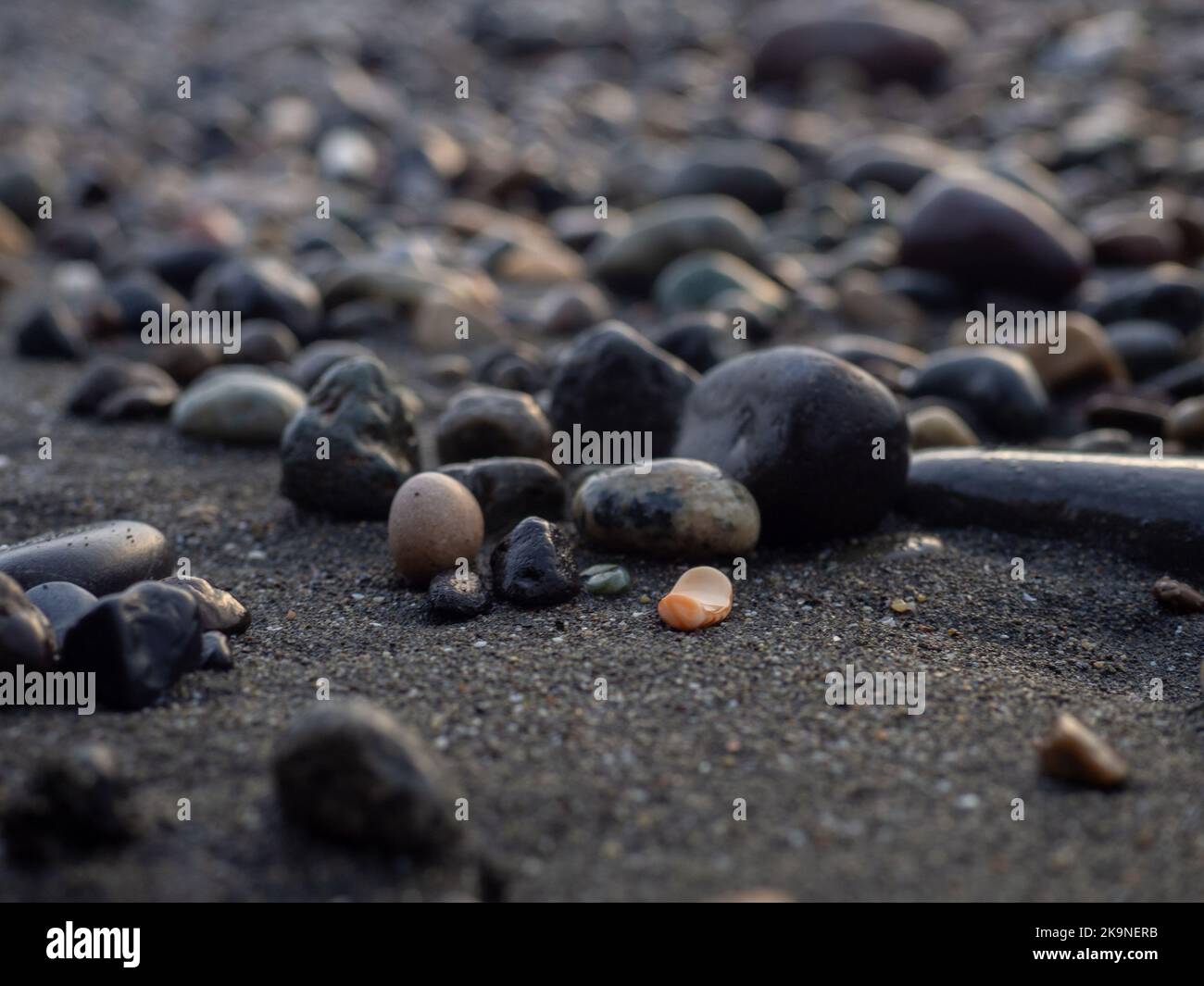 Pebbles on the seashore close-up. Rocky beach. Stones close-up with bokeh. Gray natural ...