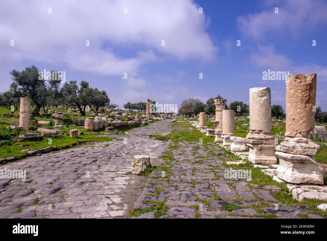 Columns Roman Decumanus Maximus Umm Qais (Gadara) Jordan 3 Stock Photo ...