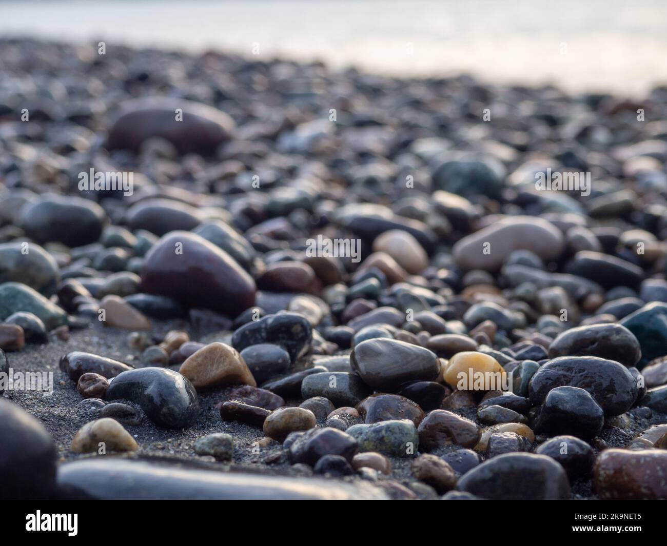 Pebbles on the seashore close-up. Rocky beach. Stones close-up with bokeh. Gray natural ...