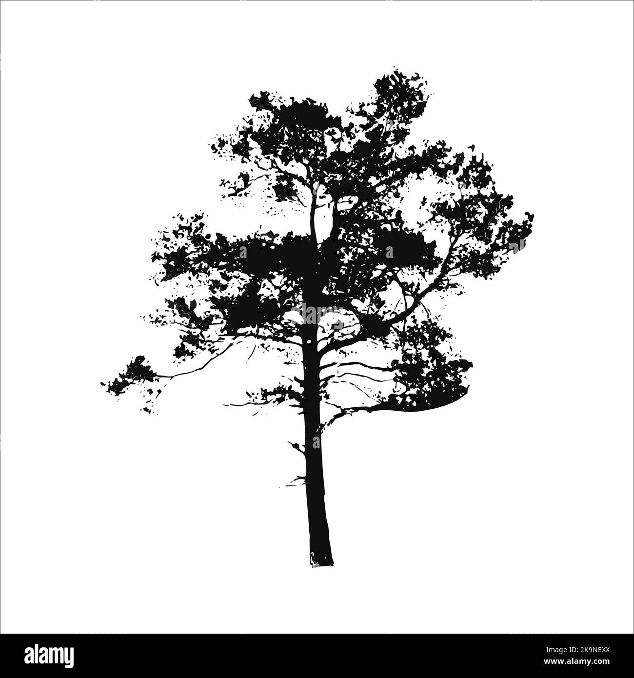 Silhouette Tree Backgrounds