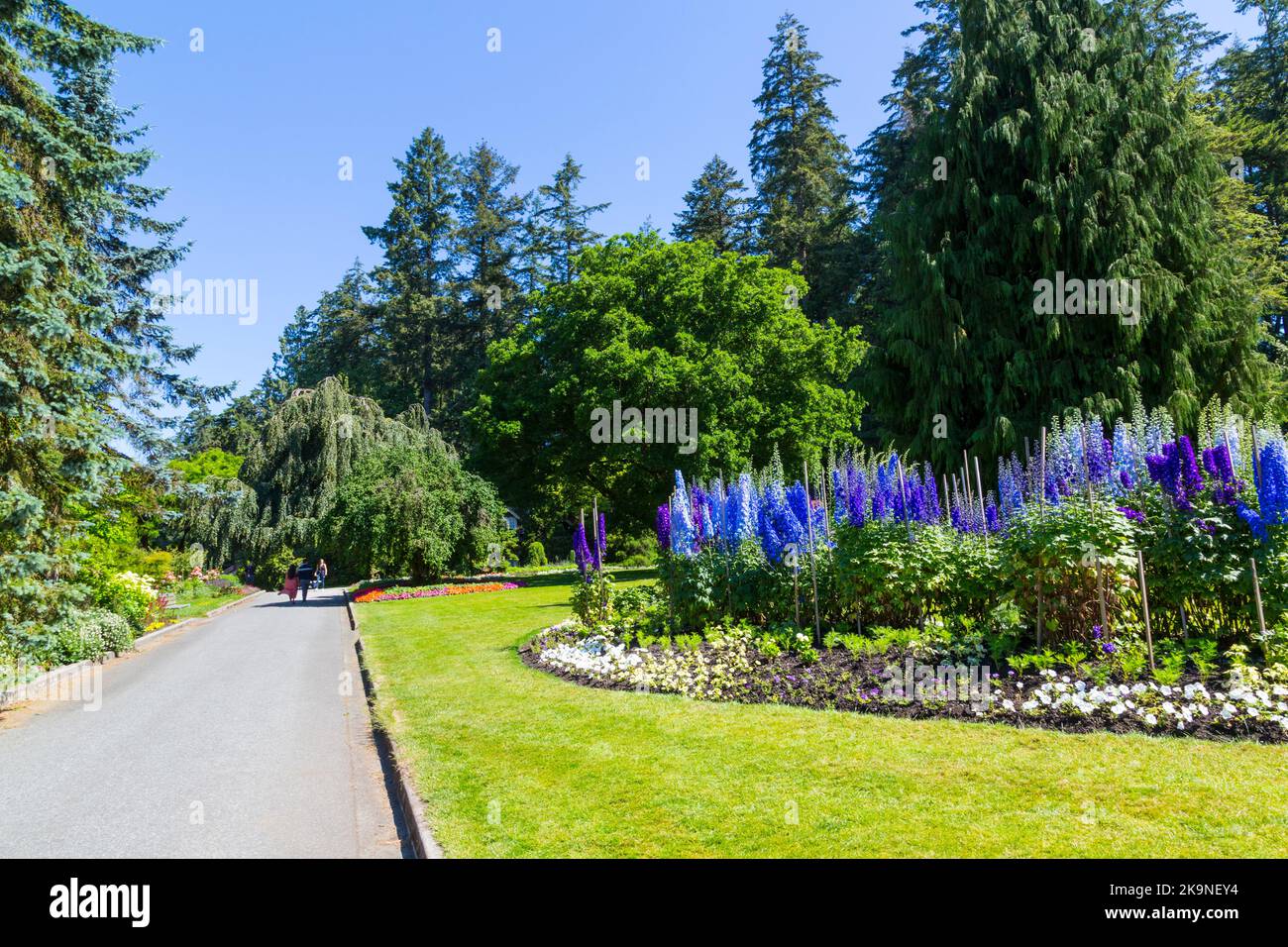 Stanley park vancouver garden hi-res stock photography and images - Alamy