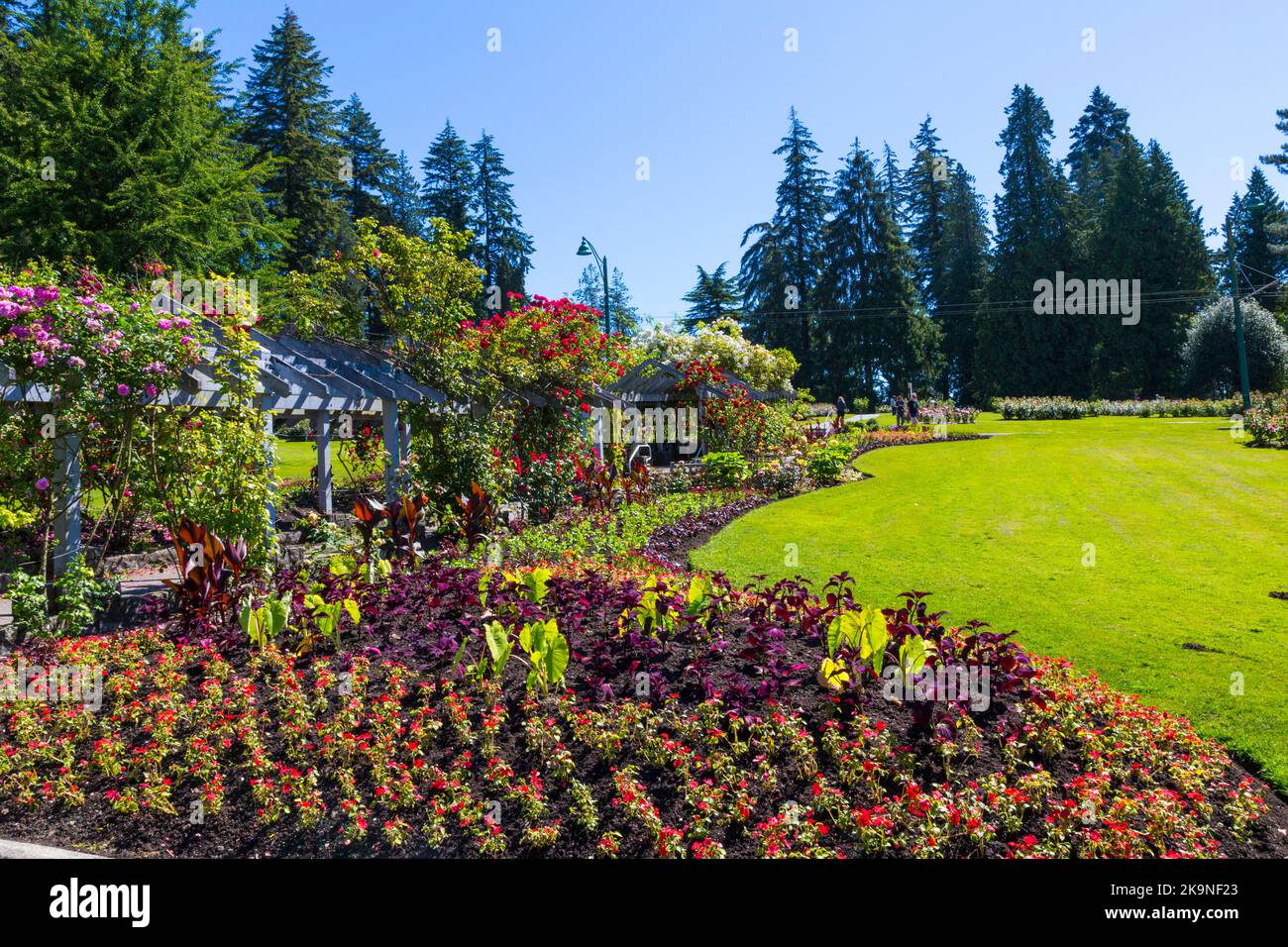 Stanley park vancouver garden hi-res stock photography and images - Alamy