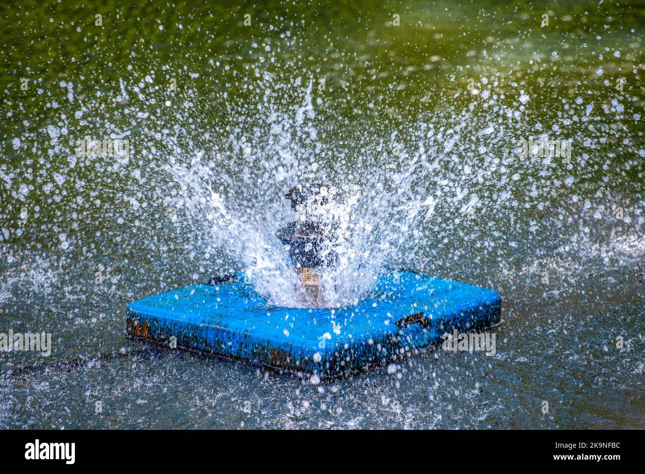 fountain in the pond. A floating fountain in a pond, splashes scatter ...