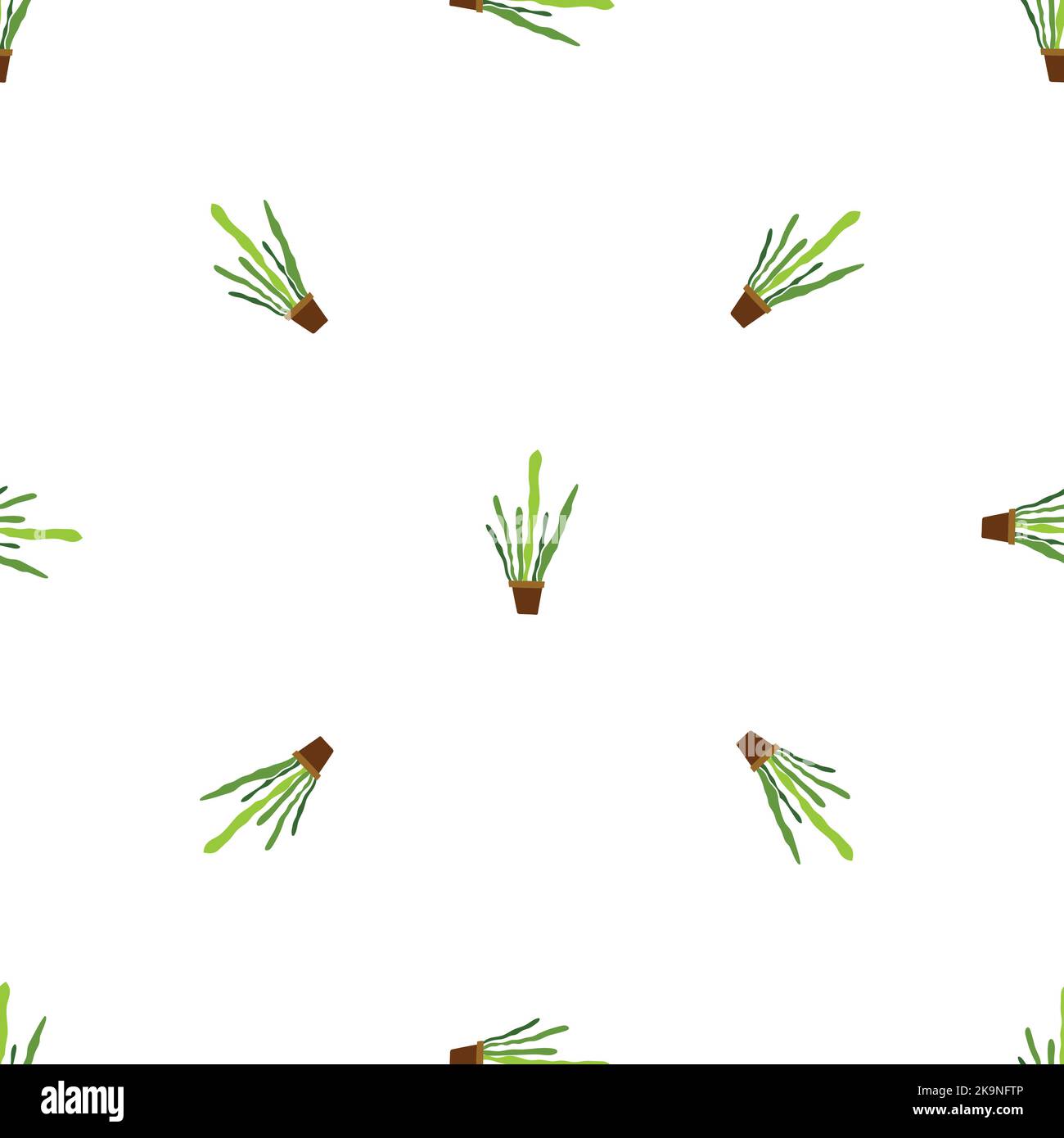 Seamless repeating pattern succulent plant hi-res stock photography and ...