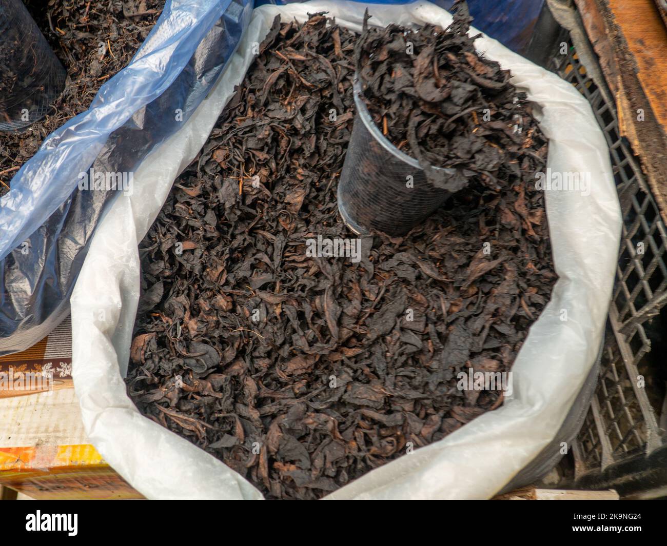Bags with different types of tea on the market. Packing and sale of ...