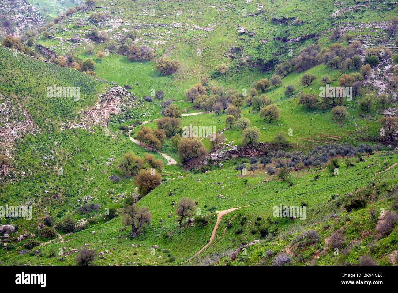 Northern jordan valley hi-res stock photography and images - Alamy