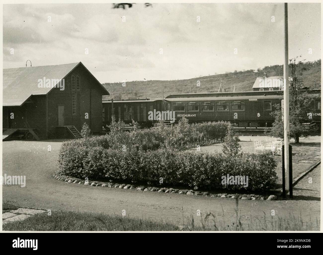 Station Planting At The Station In Storlien With Syringa Josikaea