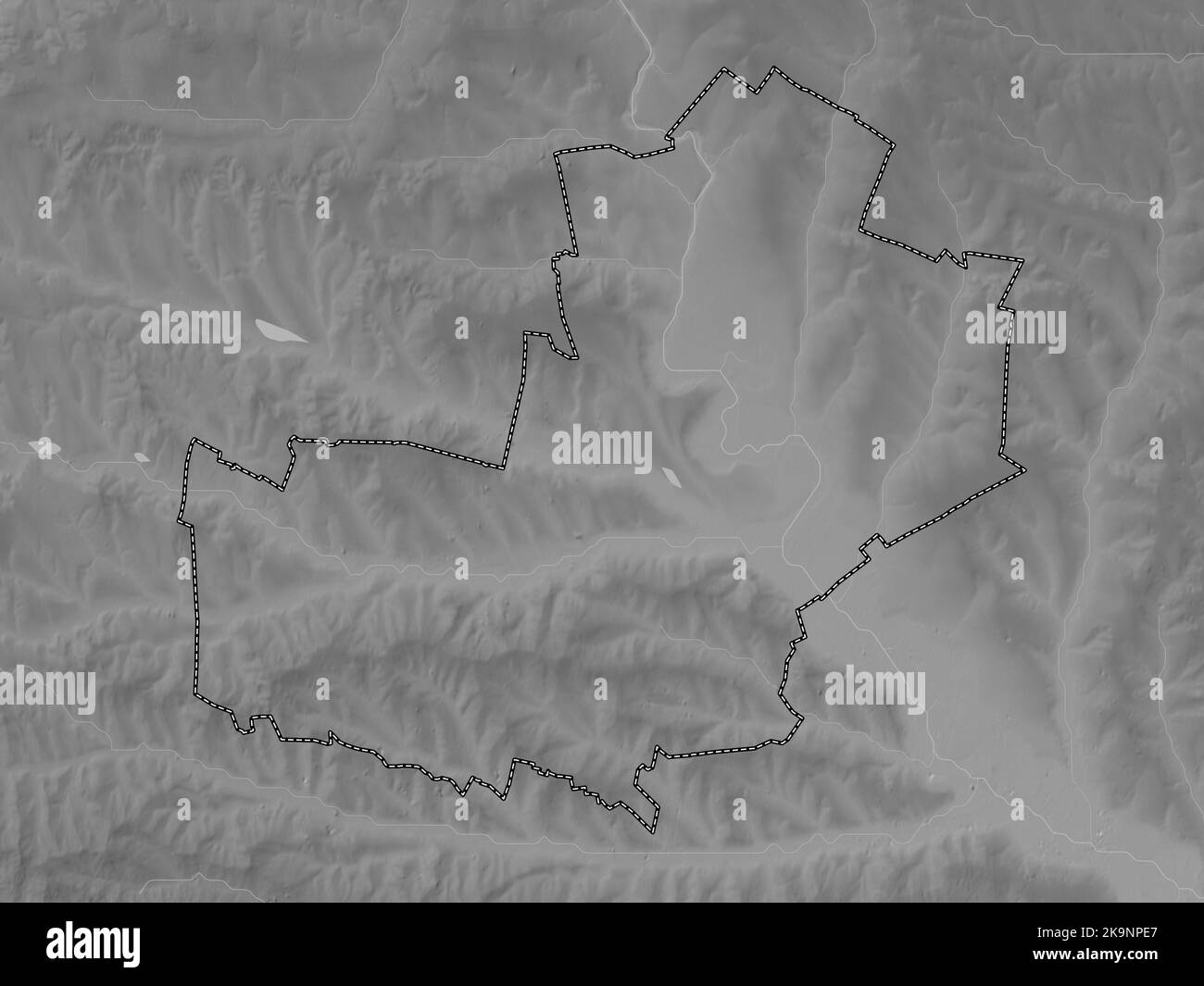 Telenesti, district of Moldova. Grayscale elevation map with lakes and ...